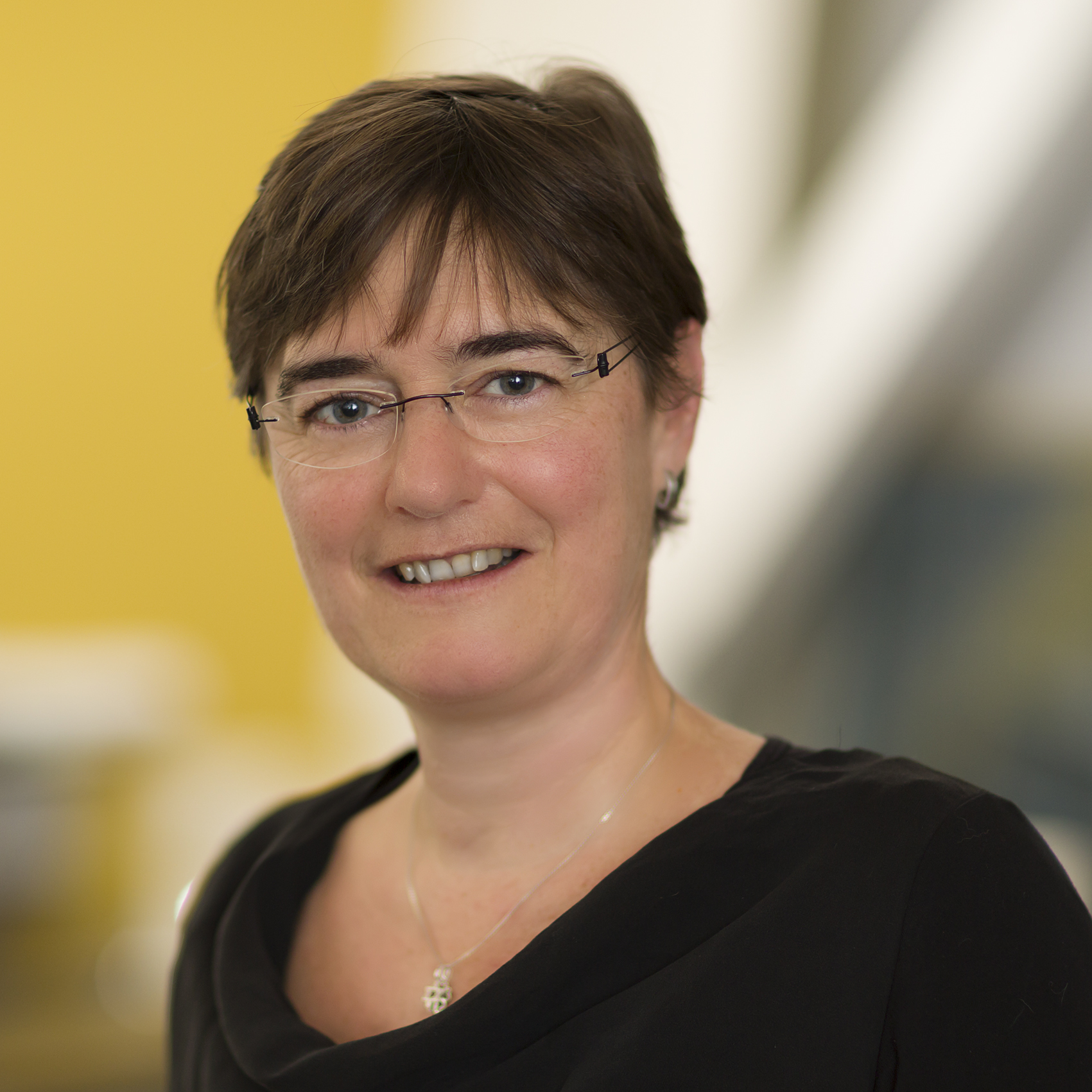 Programma festival – Revalideren is leren